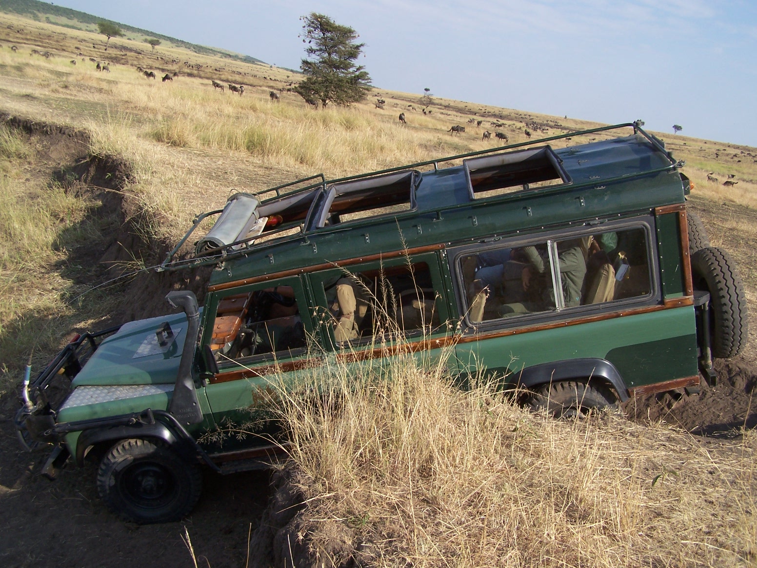 Katie Arnoldi » MAN DOWN: FIELDWORK DISASTERS